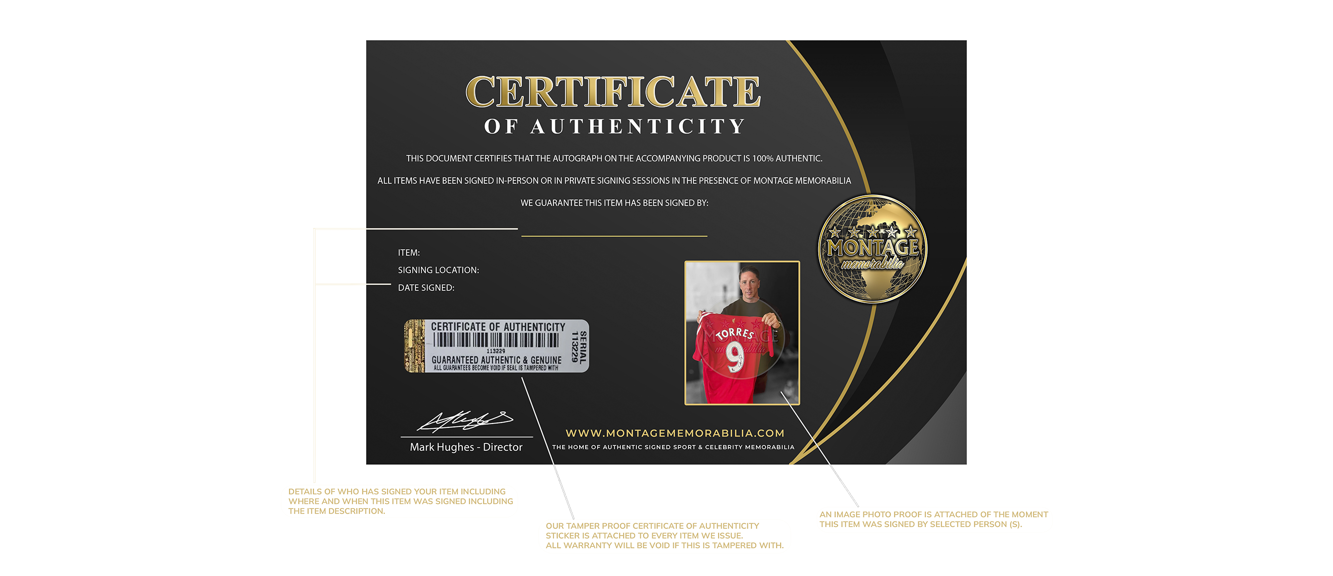 GIANLUIGI BUFFON SIGNED ITALY WORLD CUP WINNER 16x12 PHOTO (AFTAL AUTH